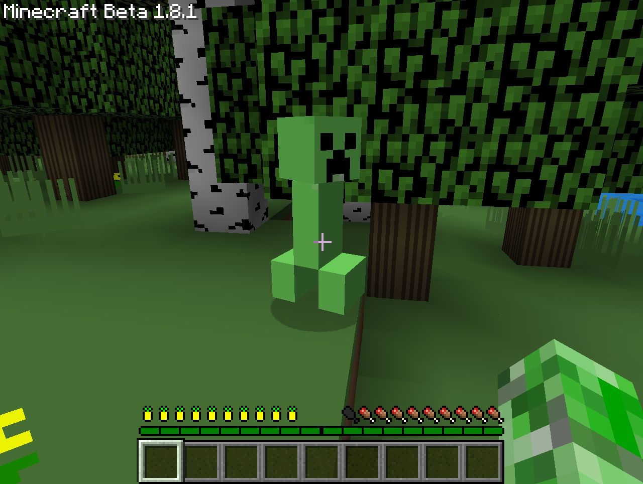 pineapple texture Minecraft Texture Pack